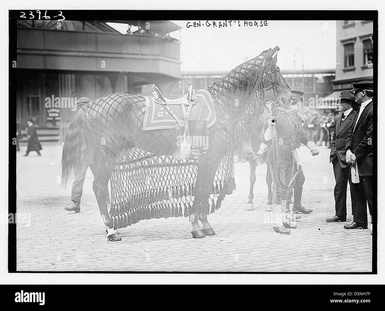 This photograph shows General Grant’s horse, caparisoned for the ...