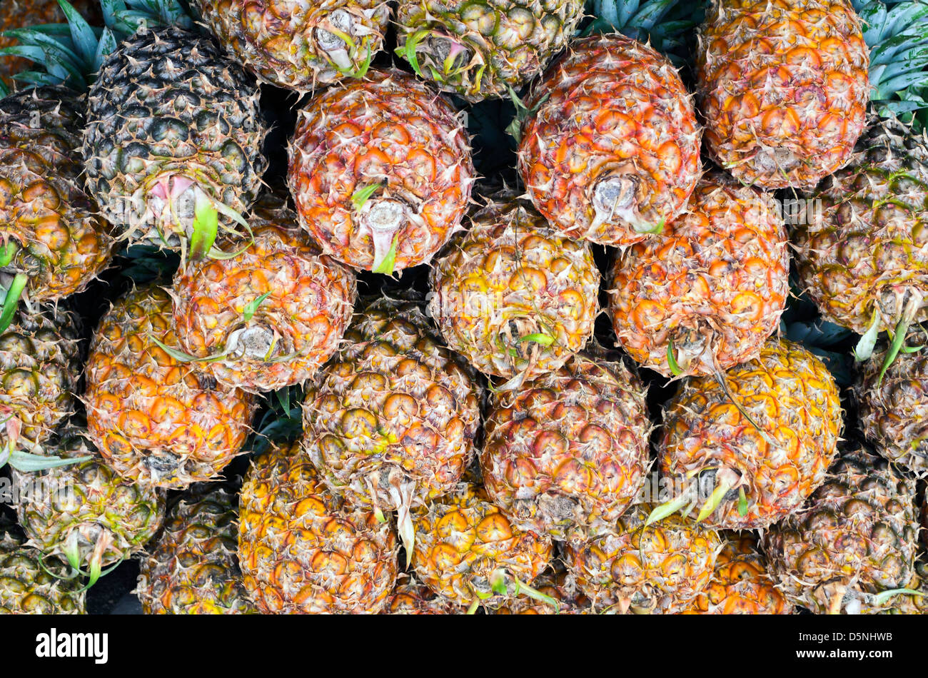 Stack of pineapples in different ripeness stages Stock Photo - Alamy