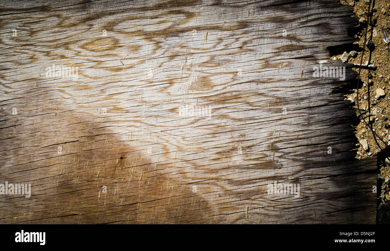wood grain background Stock Photo - Alamy