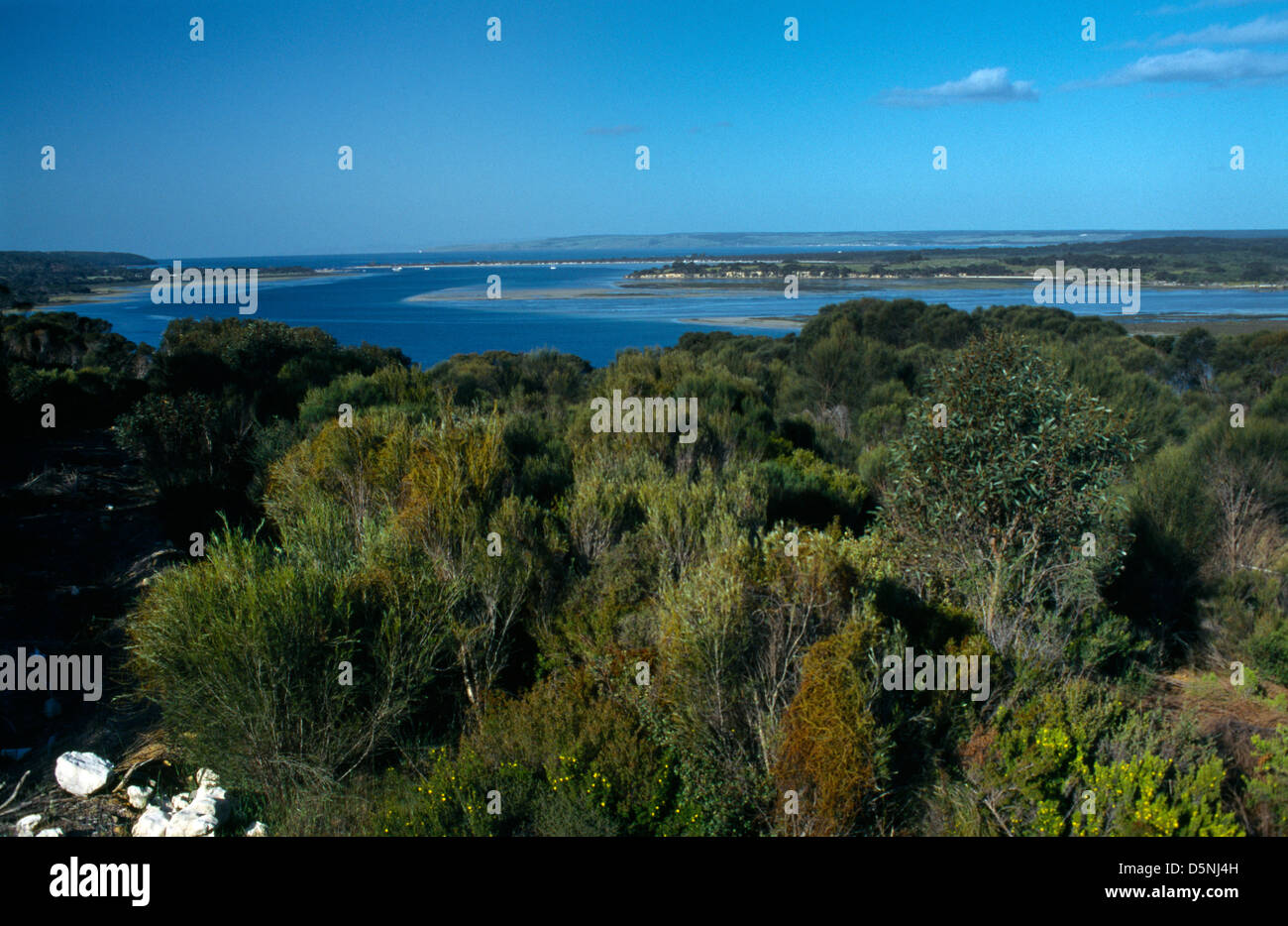 American river south australia hi-res stock photography and images - Alamy