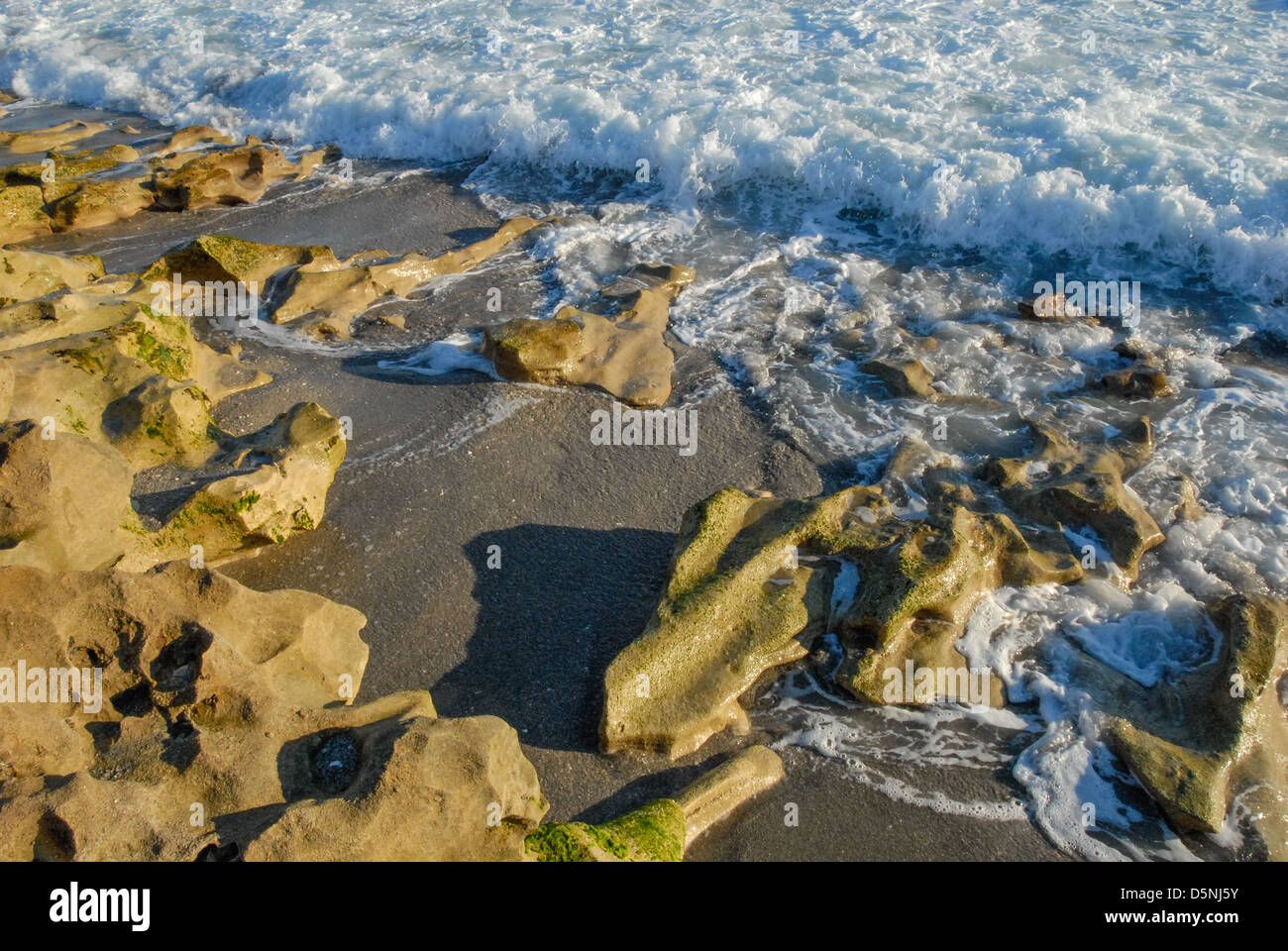 Ocean waves breaking on the rocky shore of Blowing Rocks Preserve at ...