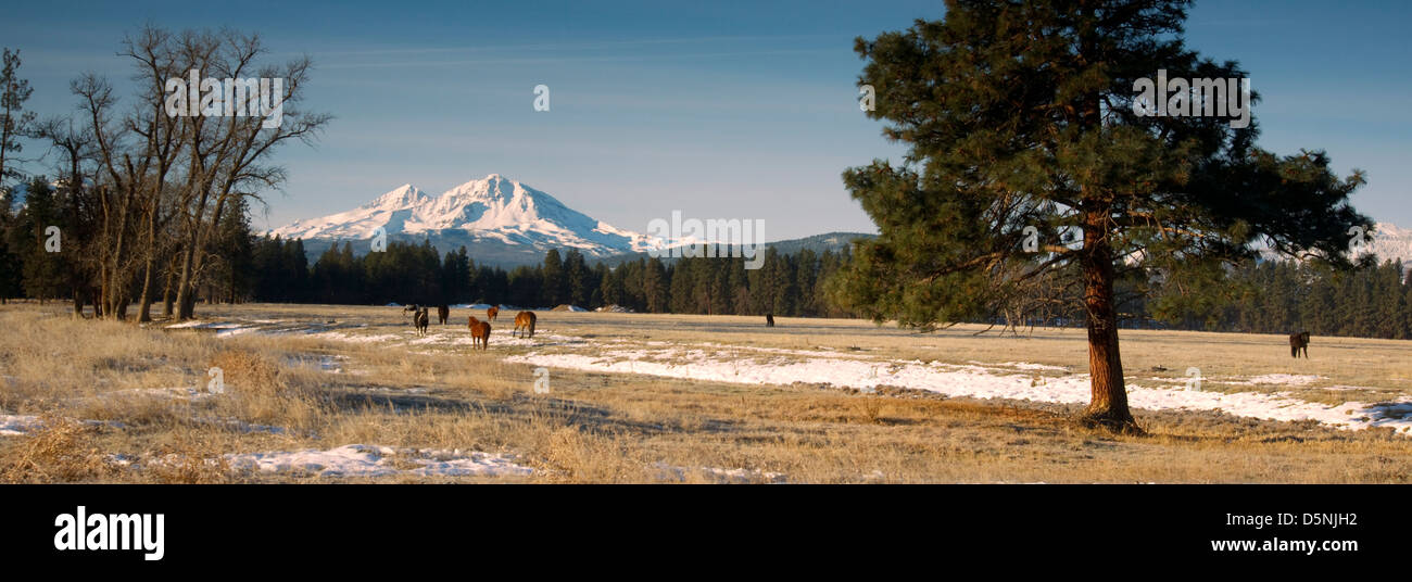 Horse Ranch at the Base of Three Sisters Mountains Oregon Stock Photo ...