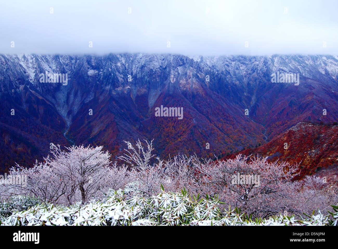 Autumn leaves and snow of Mt. Tanigawadake, Gunma, Japan Stock Photo ...