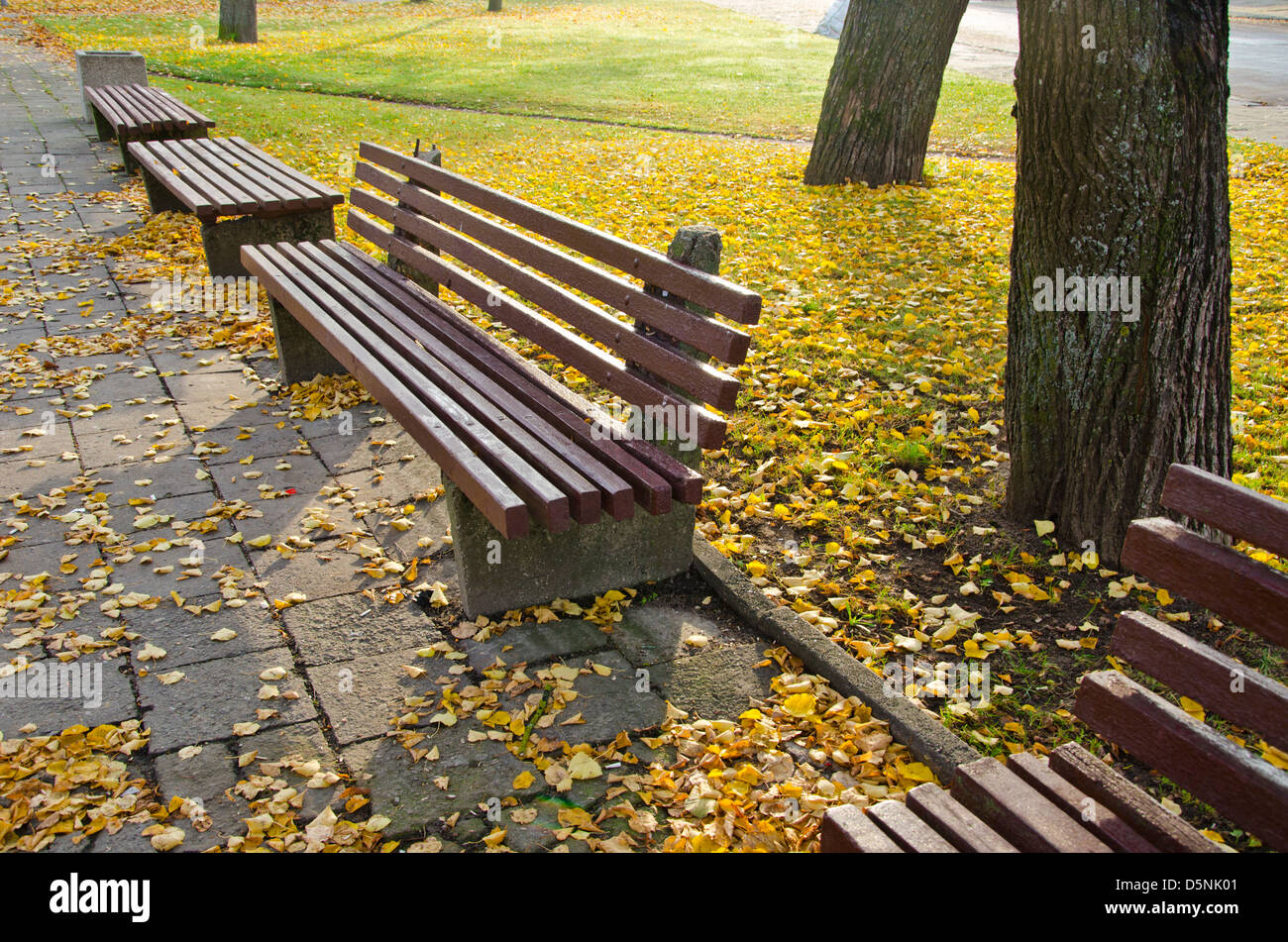 bench group in autumn park and tree leaves Stock Photo - Alamy