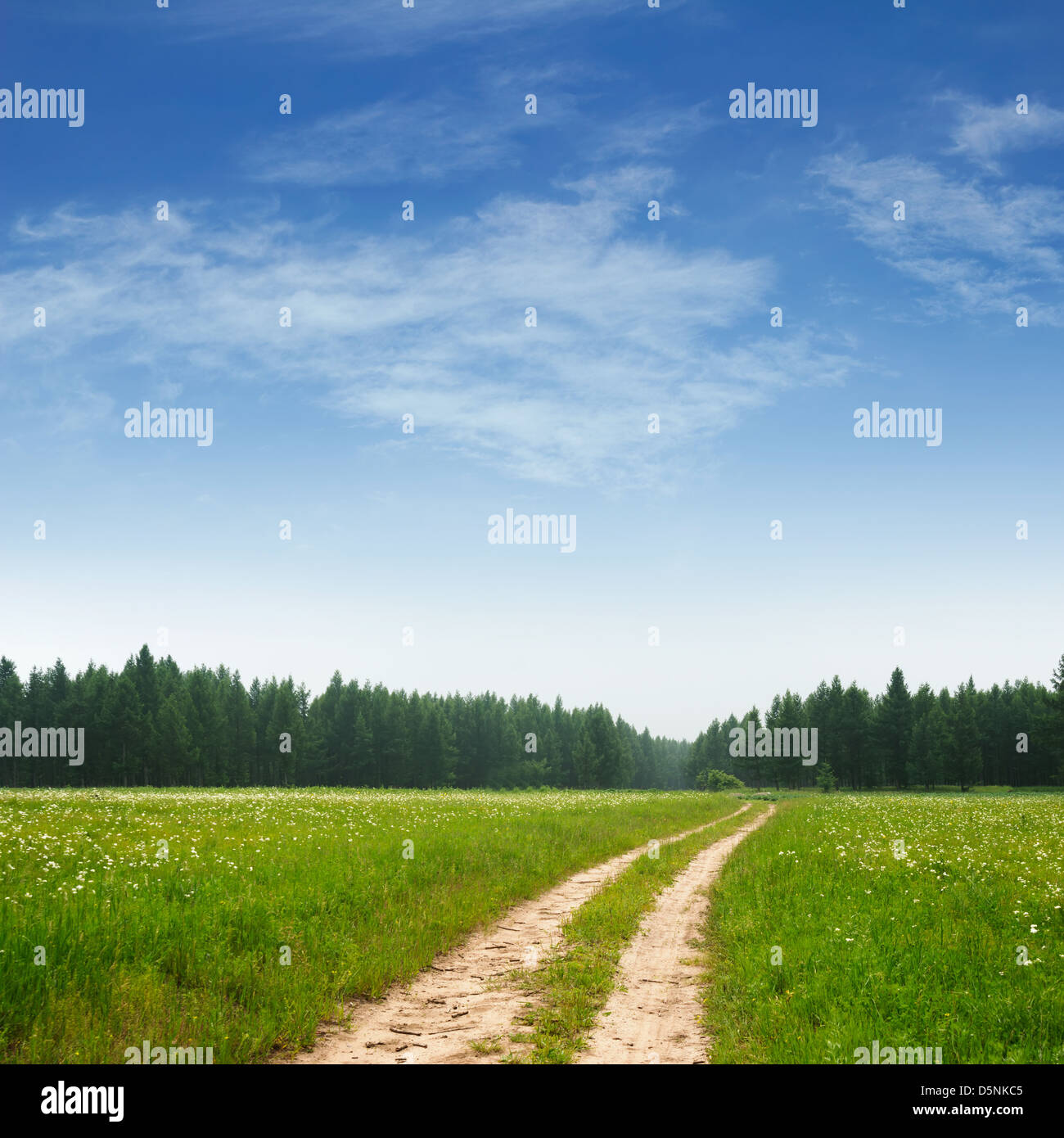field on a background of the blue sky Stock Photo - Alamy