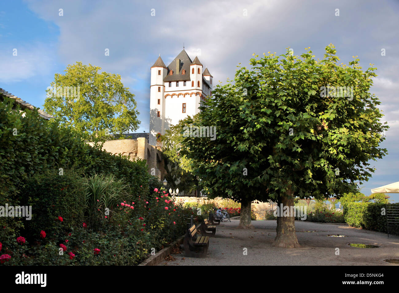 Electoral Castle of Eltville, Rheingau, Hesse, Germany Stock Photo - Alamy