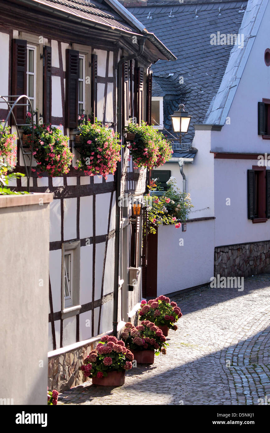 Old lane with half-timbered house in the old town of Eltville, Rheingau ...