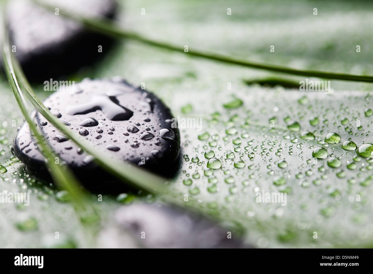 Black stones with water drops Stock Photo - Alamy