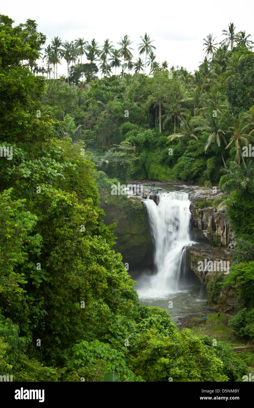 Waterfall at Bali Stock Photo - Alamy