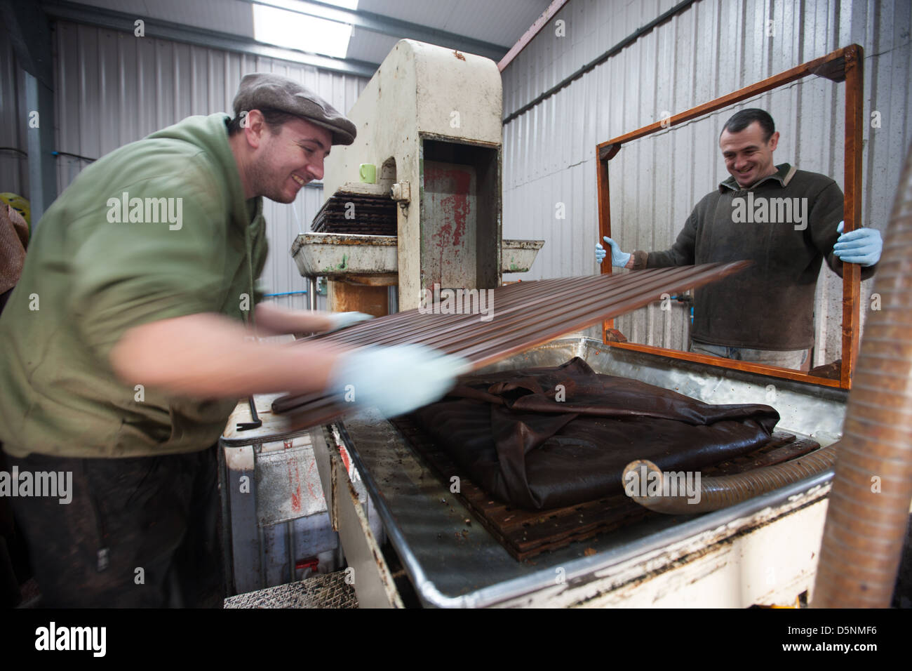 All phases of cider production in the south west UK Stock Photo - Alamy