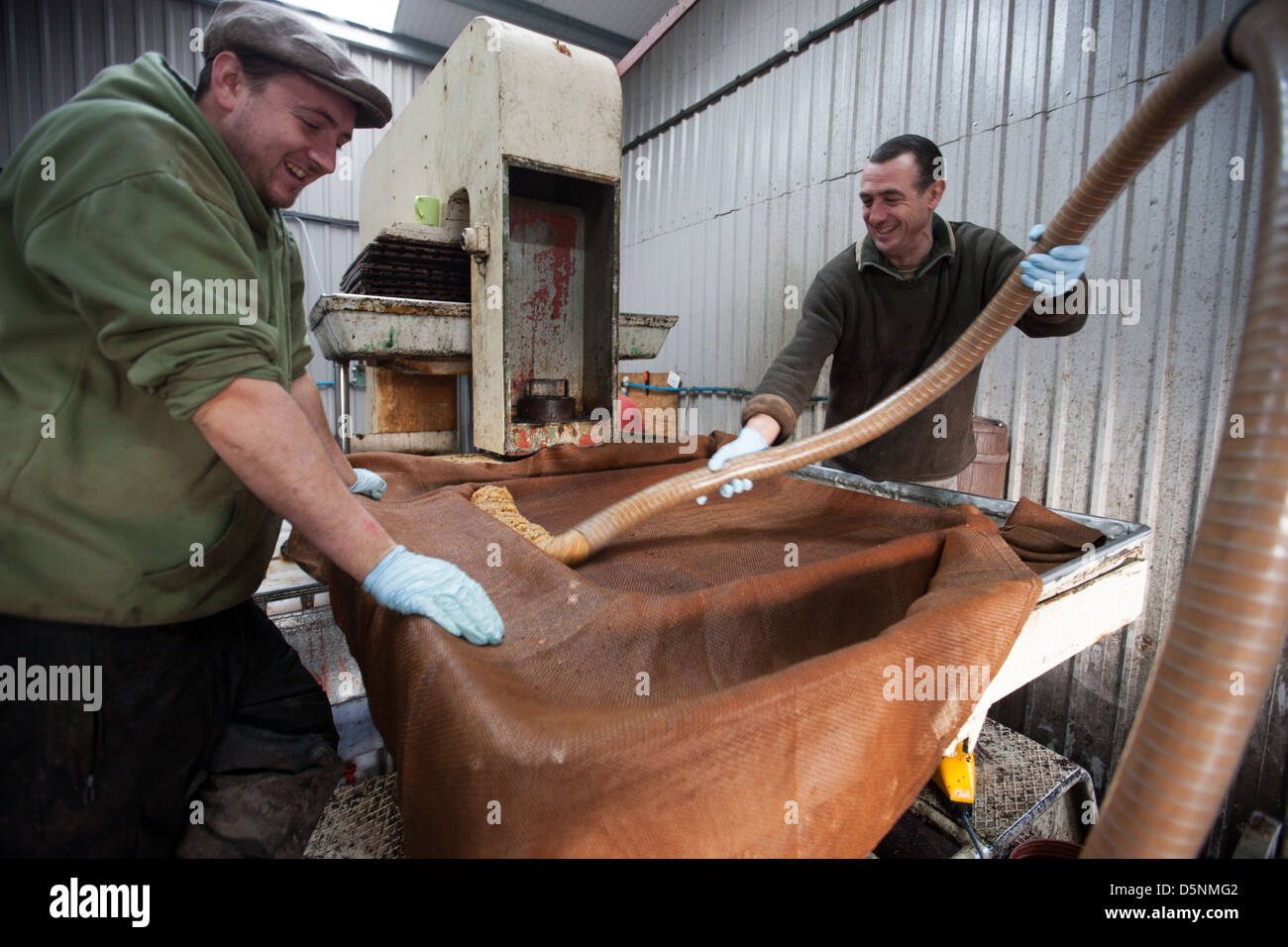 All phases of cider production in the south west UK Stock Photo - Alamy