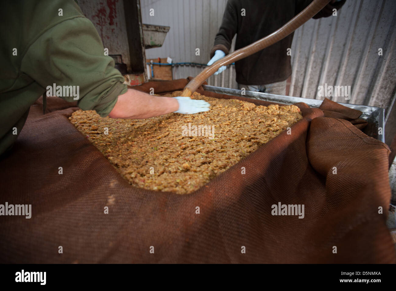 All phases of cider production in the south west UK Stock Photo - Alamy