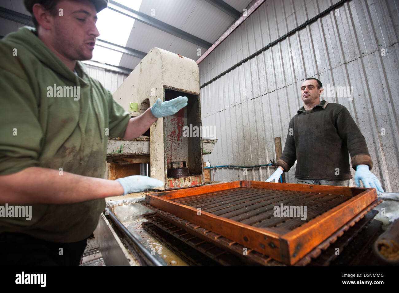 Perry cider making hi-res stock photography and images - Alamy
