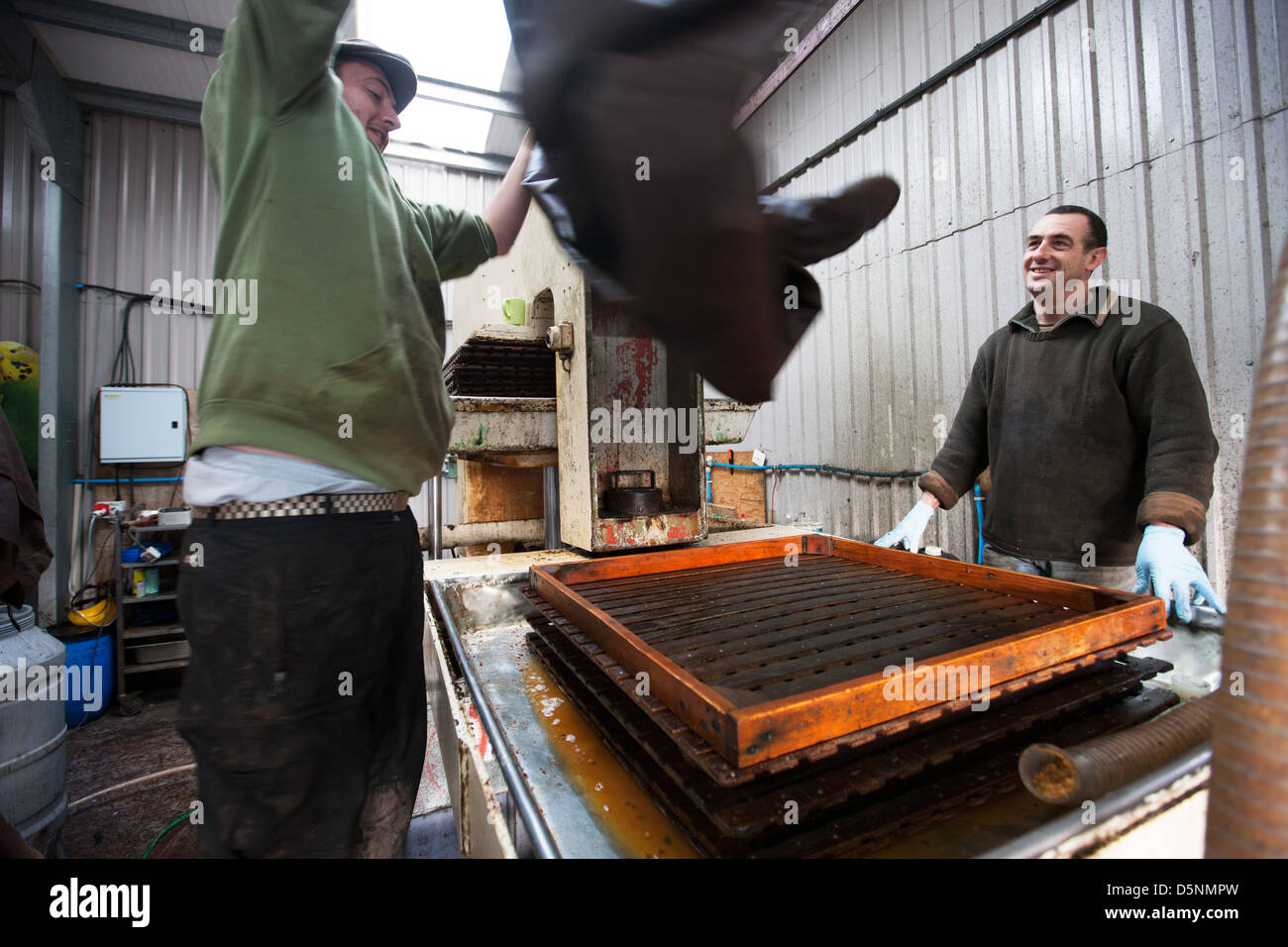All phases of cider production in the south west UK Stock Photo - Alamy