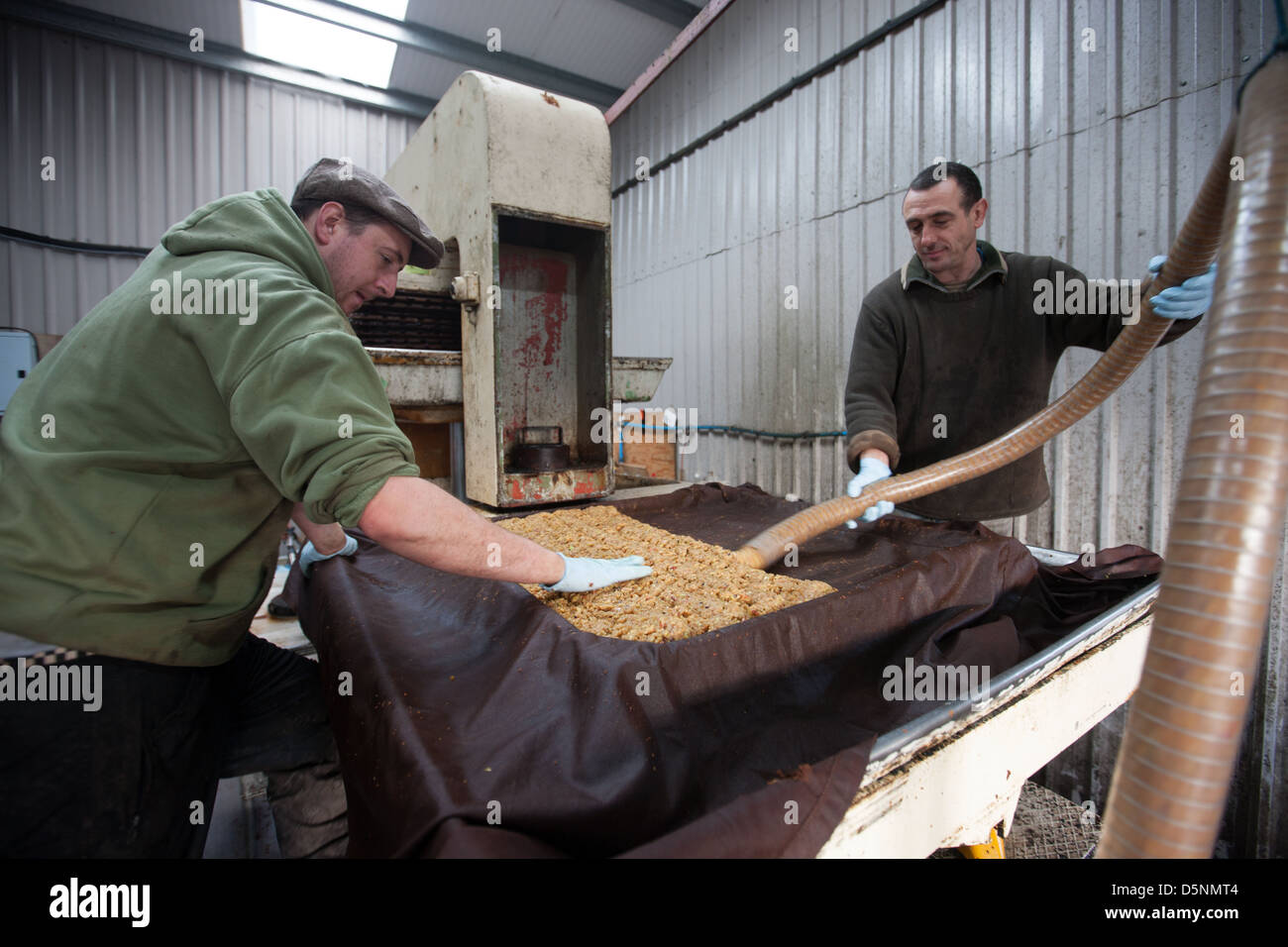 Cider production in south west hi-res stock photography and images - Alamy