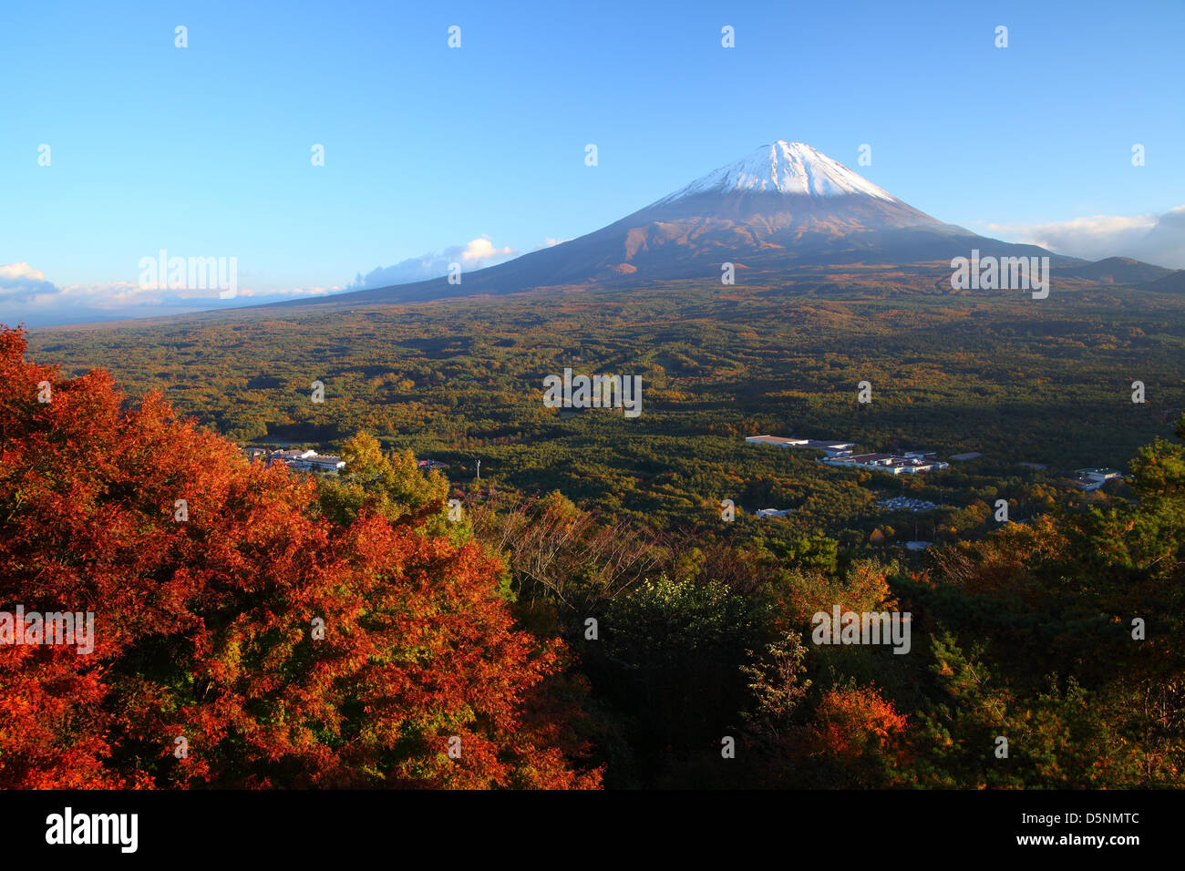 View of Mt. Fuji with Aokigahara forest in autumn, Yamanashi, Japan ...