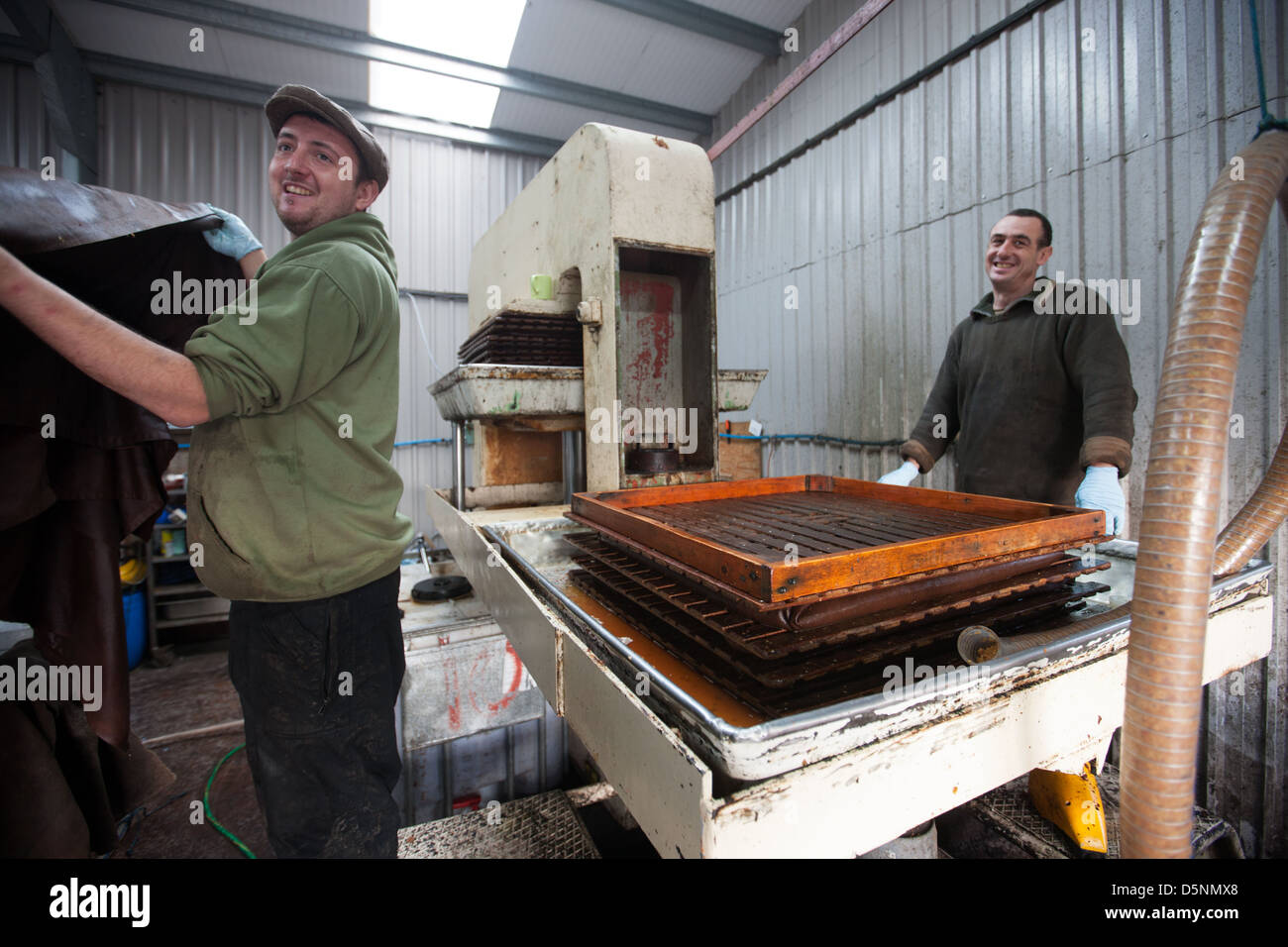 All phases of cider production in the south west UK Stock Photo - Alamy