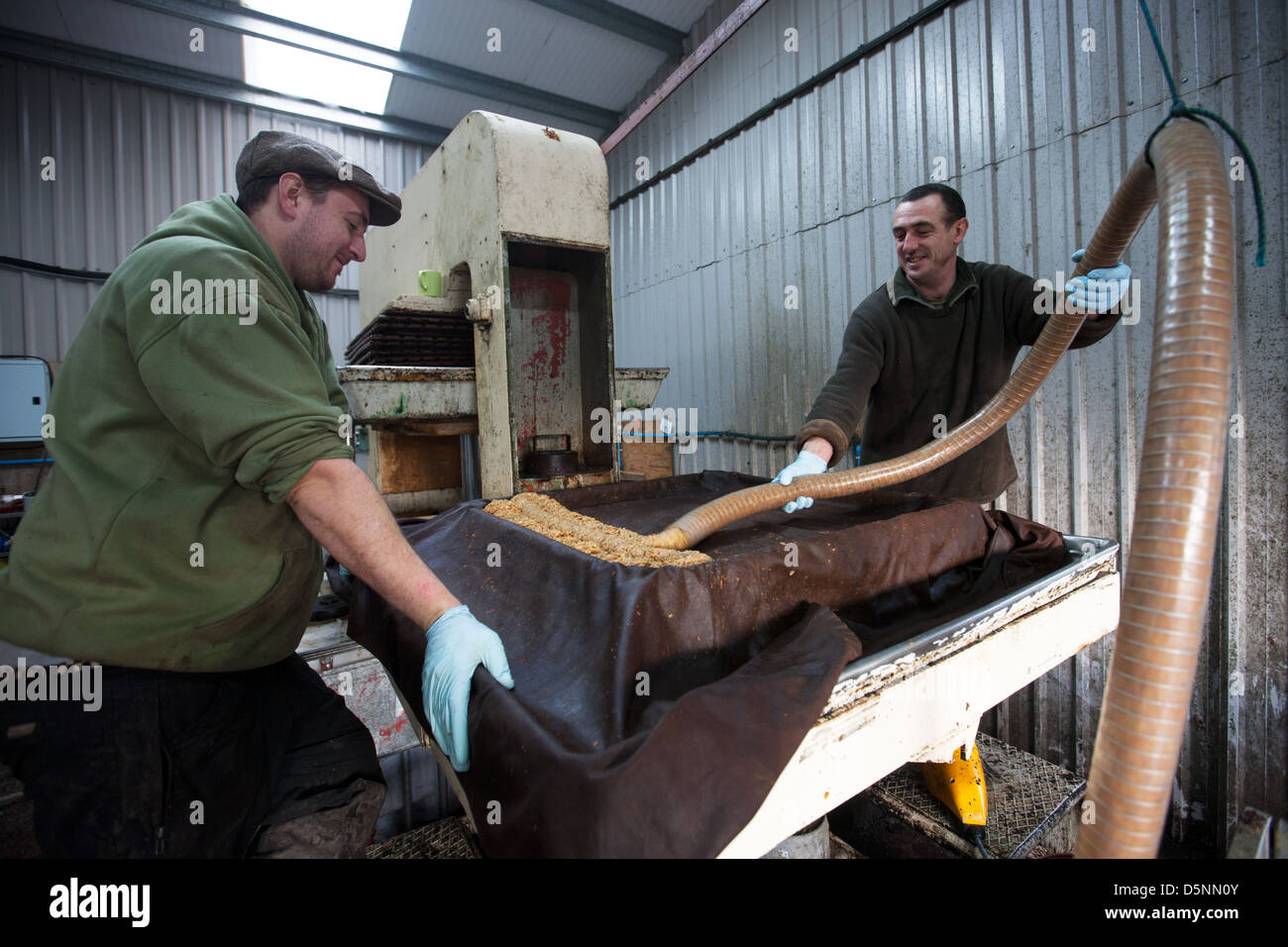 All phases of cider production in the south west UK Stock Photo - Alamy