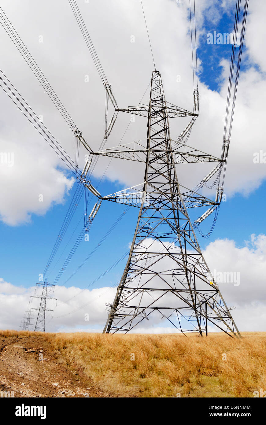 Electricity pylons crossing an upland moor near the Lancashire ...