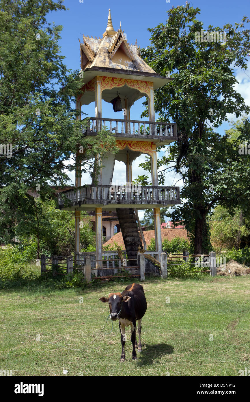 Buddhist cow hi-res stock photography and images - Alamy