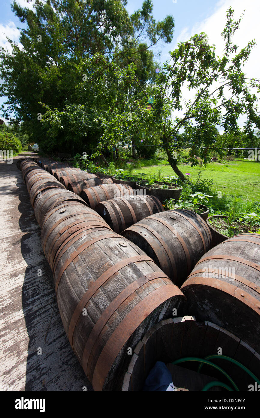 All phases of cider production in the south west UK Stock Photo - Alamy