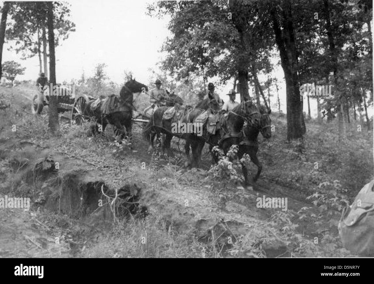Vital operation Black and White Stock Photos & Images - Alamy