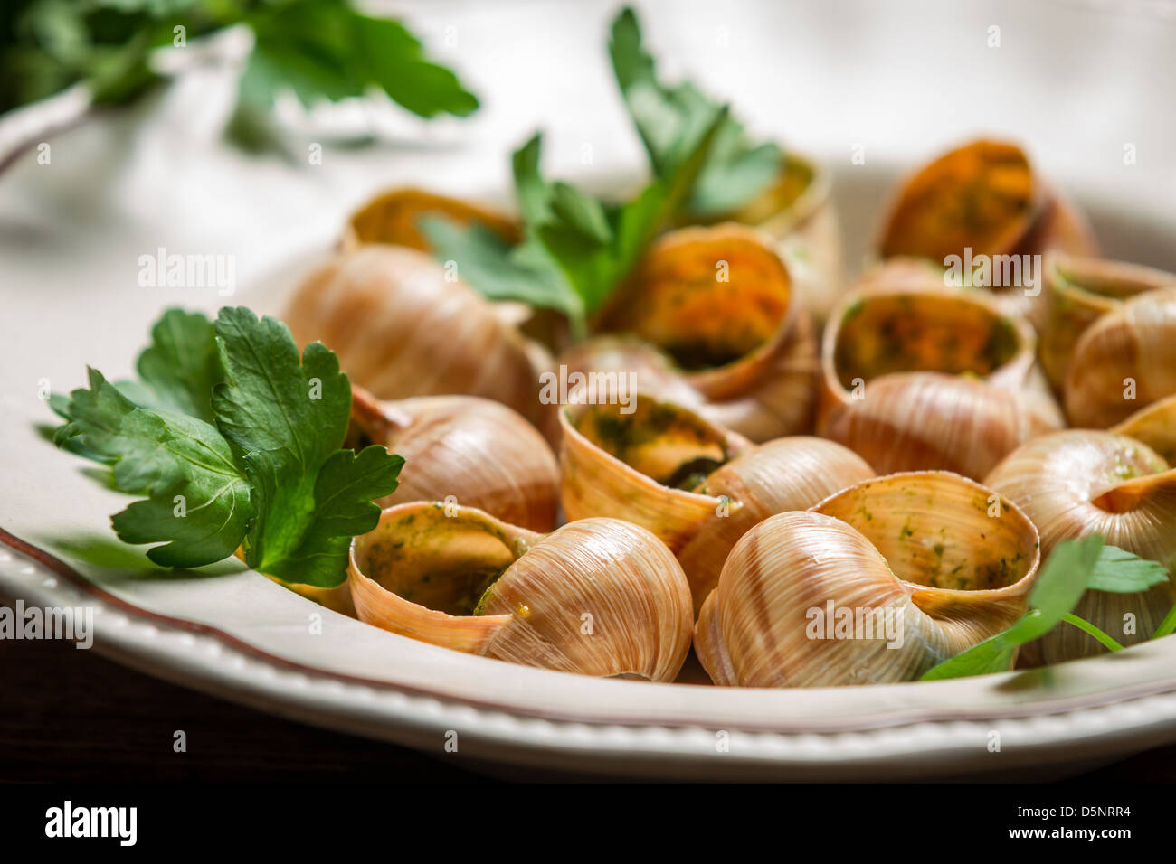 Snails with herb butter hi-res stock photography and images - Alamy
