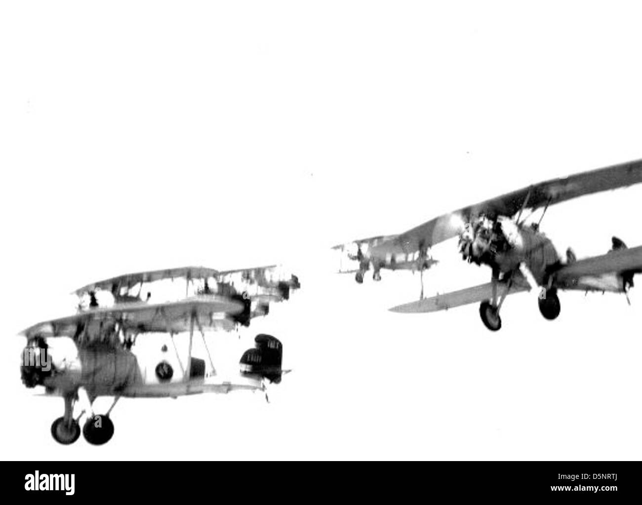 The reference 00040524 highlights a unique artifact housed at the San ...