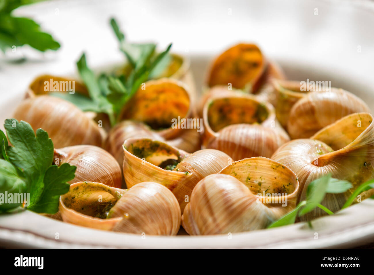 Closeup of baked snails with garlic butter and parsley Stock Photo - Alamy