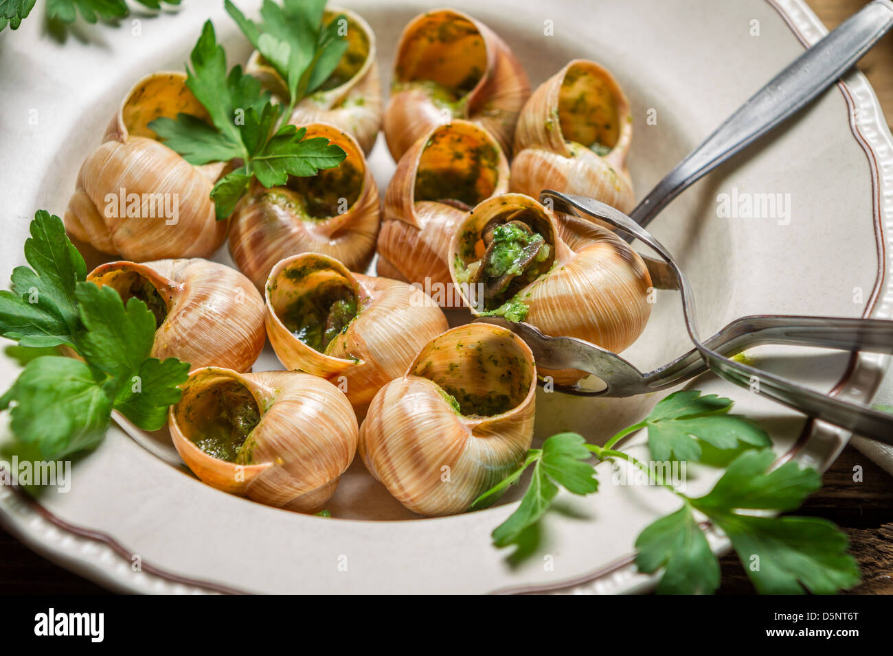 Closeup of fried snails with garlic butter Stock Photo - Alamy