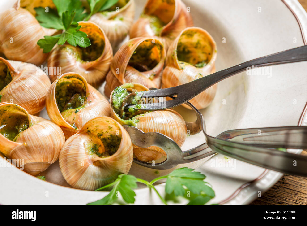 Fried snails hi-res stock photography and images - Alamy