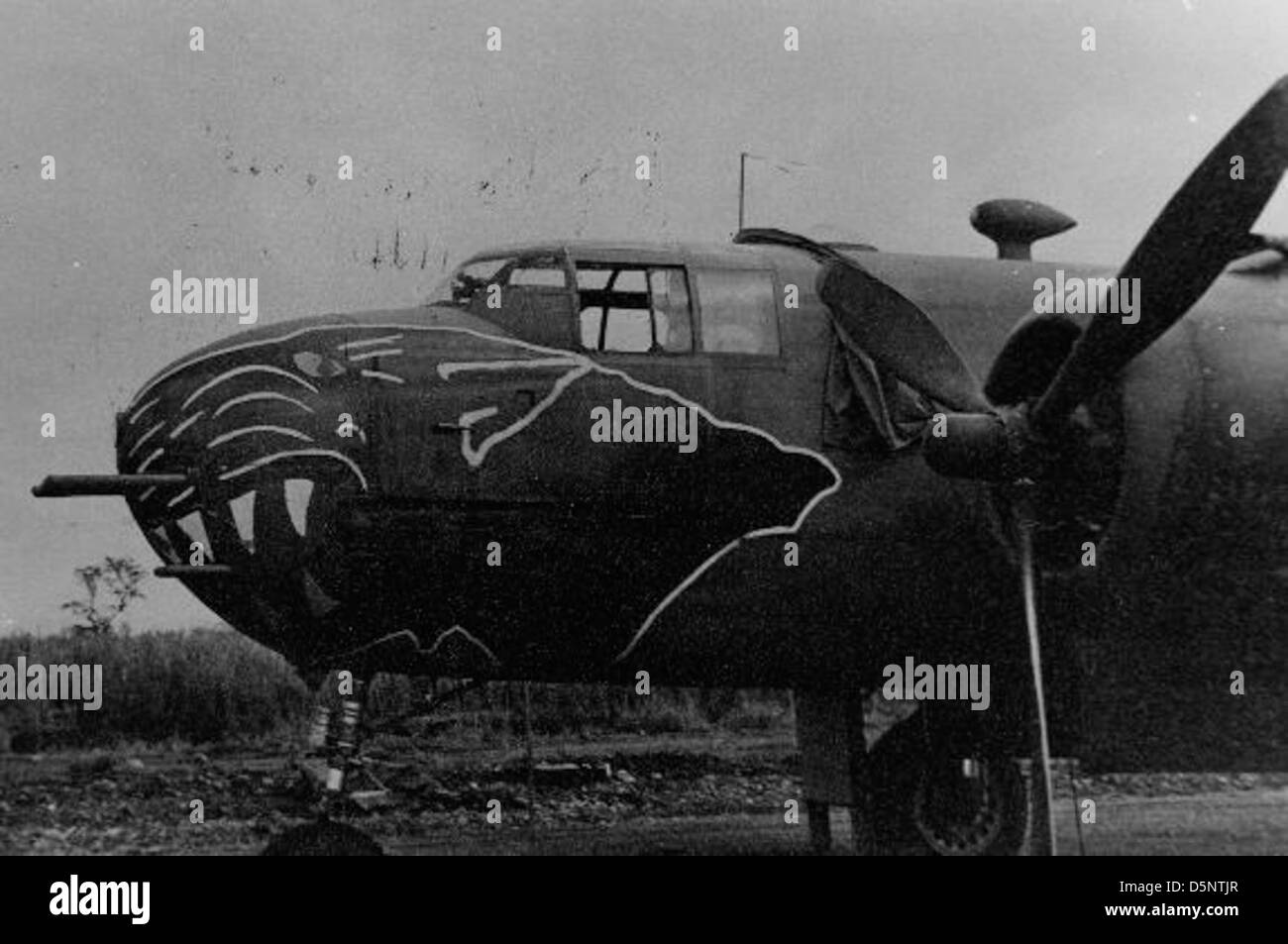 The 38th Bomb Group, known as the 'Sun Setters,' flew B-25 Mitchell ...