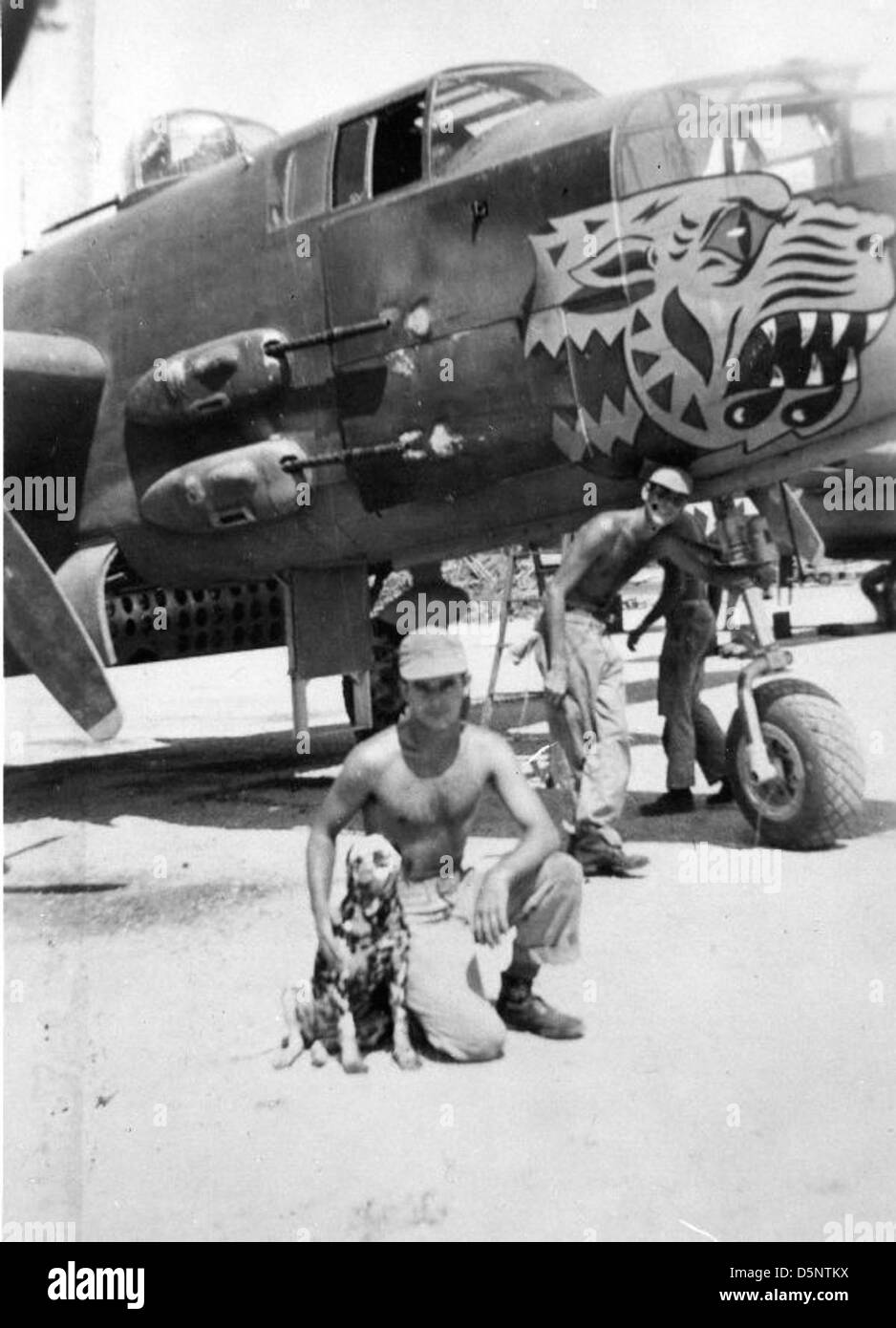 The 38th Bomb Group, also known as the Sun Setters, flew B-25 Mitchell ...