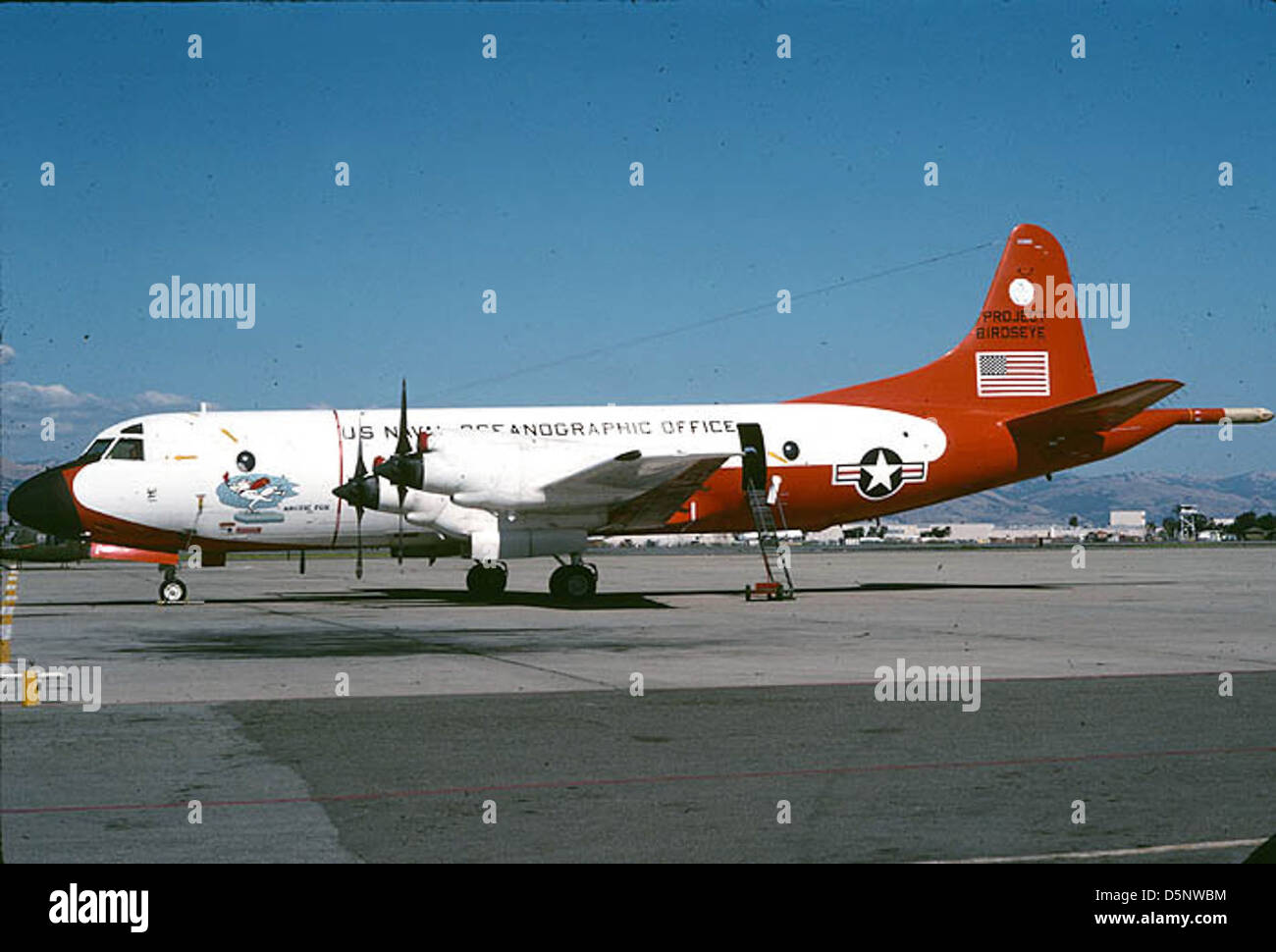 VXN-8 Arctic Fox was a U.S. Navy reconnaissance squadron utilizing the ...
