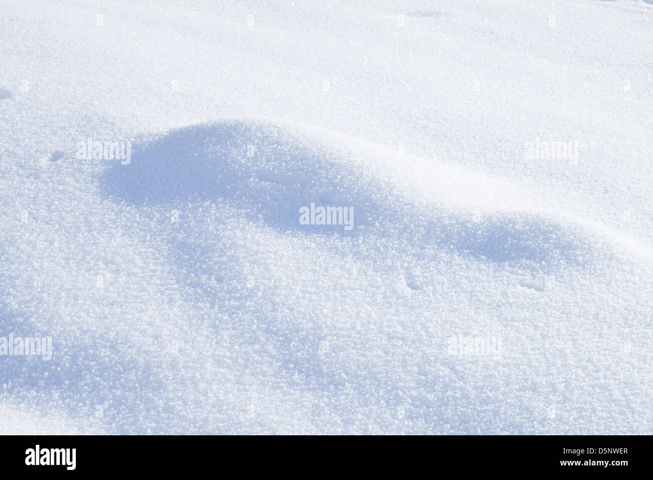 Snow background for your design Stock Photo - Alamy