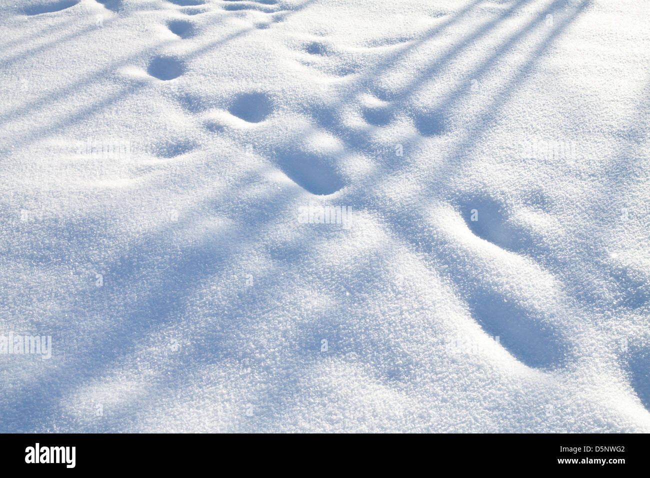 Snow background for your design Stock Photo - Alamy