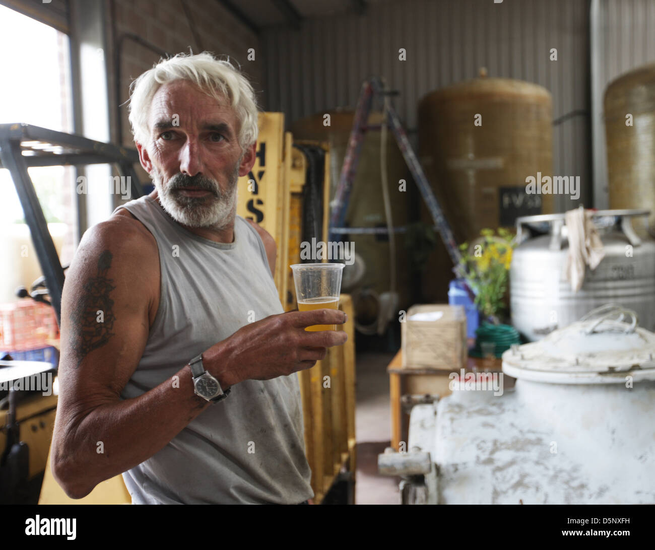 Sampling cider. All phases of cider production in the south west UK ...