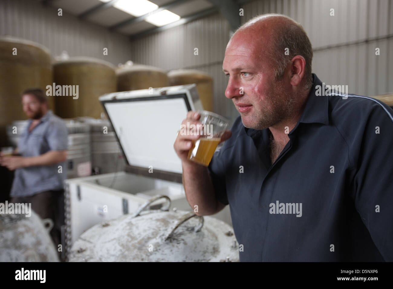 Sampling cider. All phases of cider production in the south west UK ...