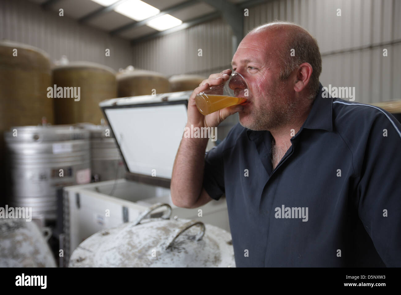 Sampling the juice. All phases of cider production in the south west UK ...