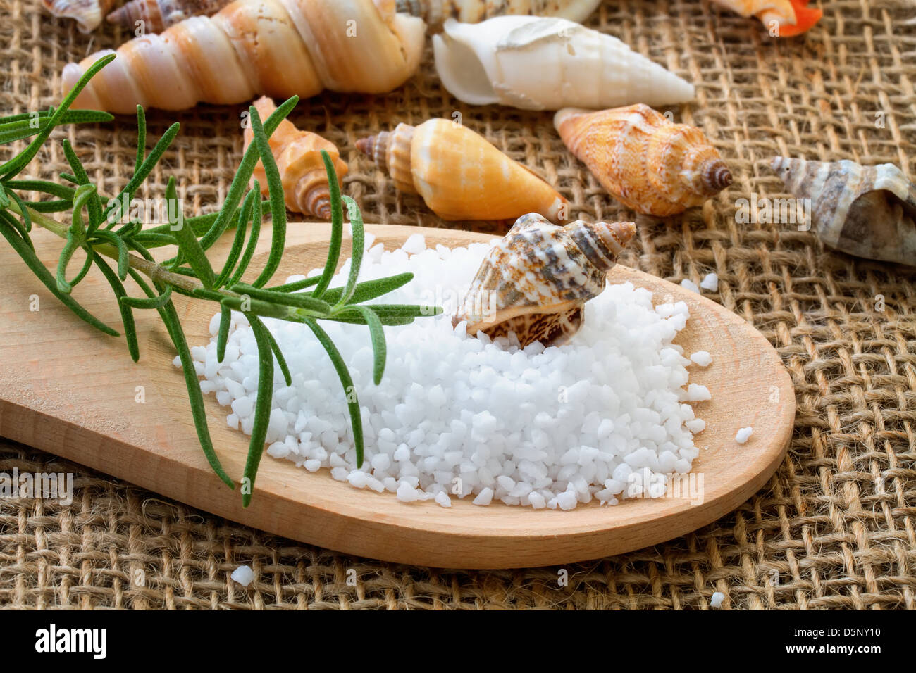 sea salt, shells and rosemary Stock Photo - Alamy