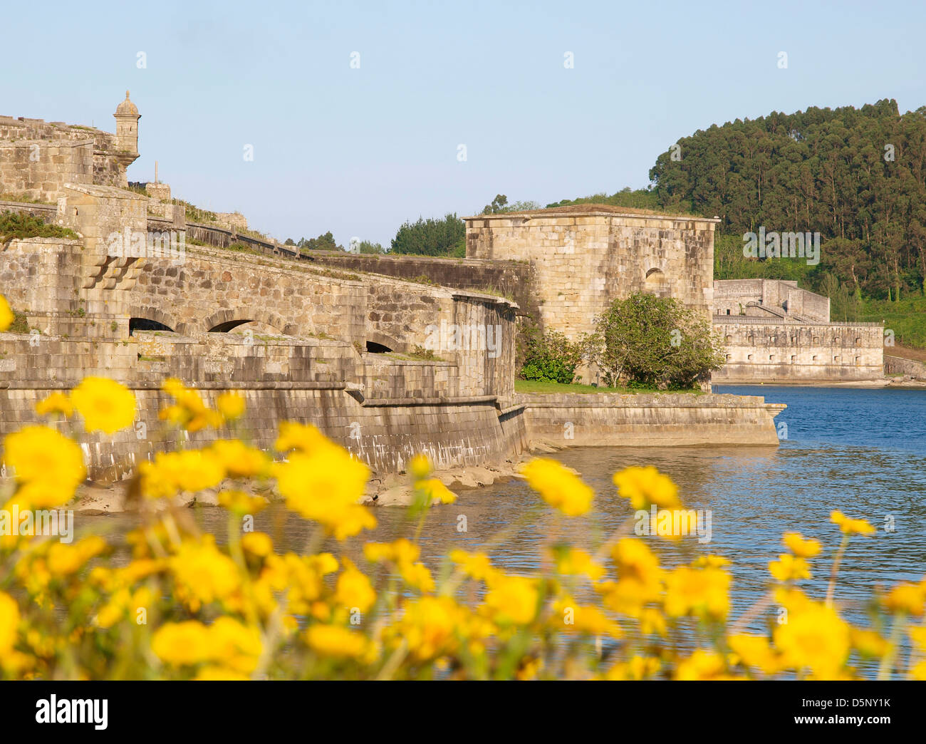 San Felipe castle with blurred flowers in the foreground Stock Photo ...
