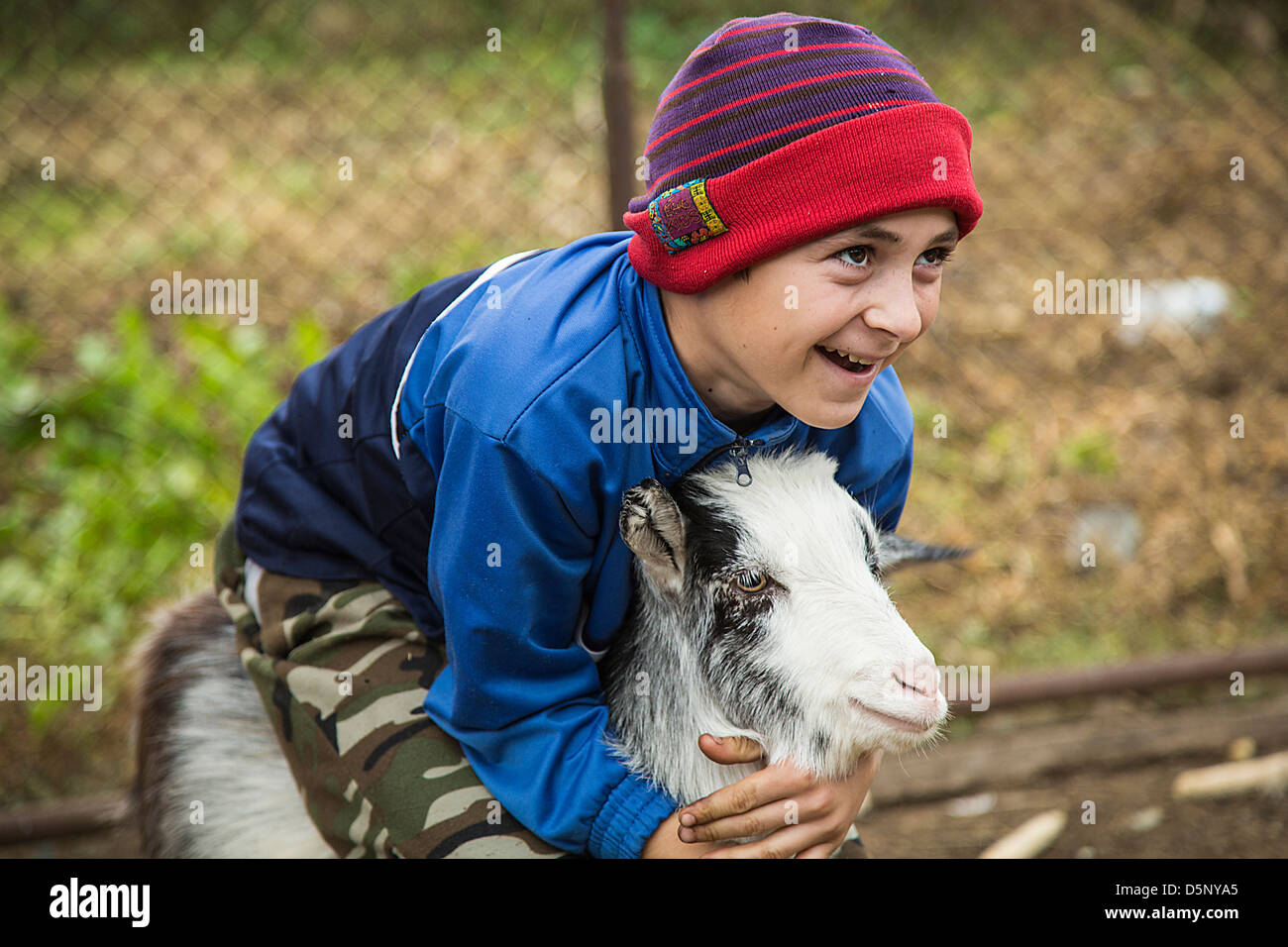 A young boy giving a hug to his pet lamb Stock Photo - Alamy