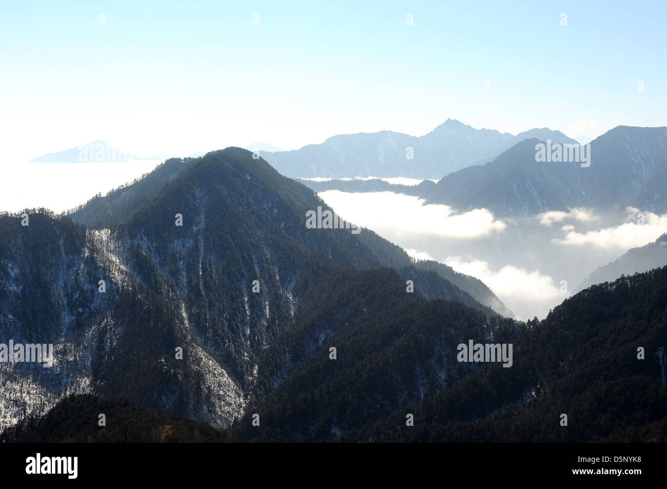 landscape nature travel tree mountain sky blue white cloud fog view ...