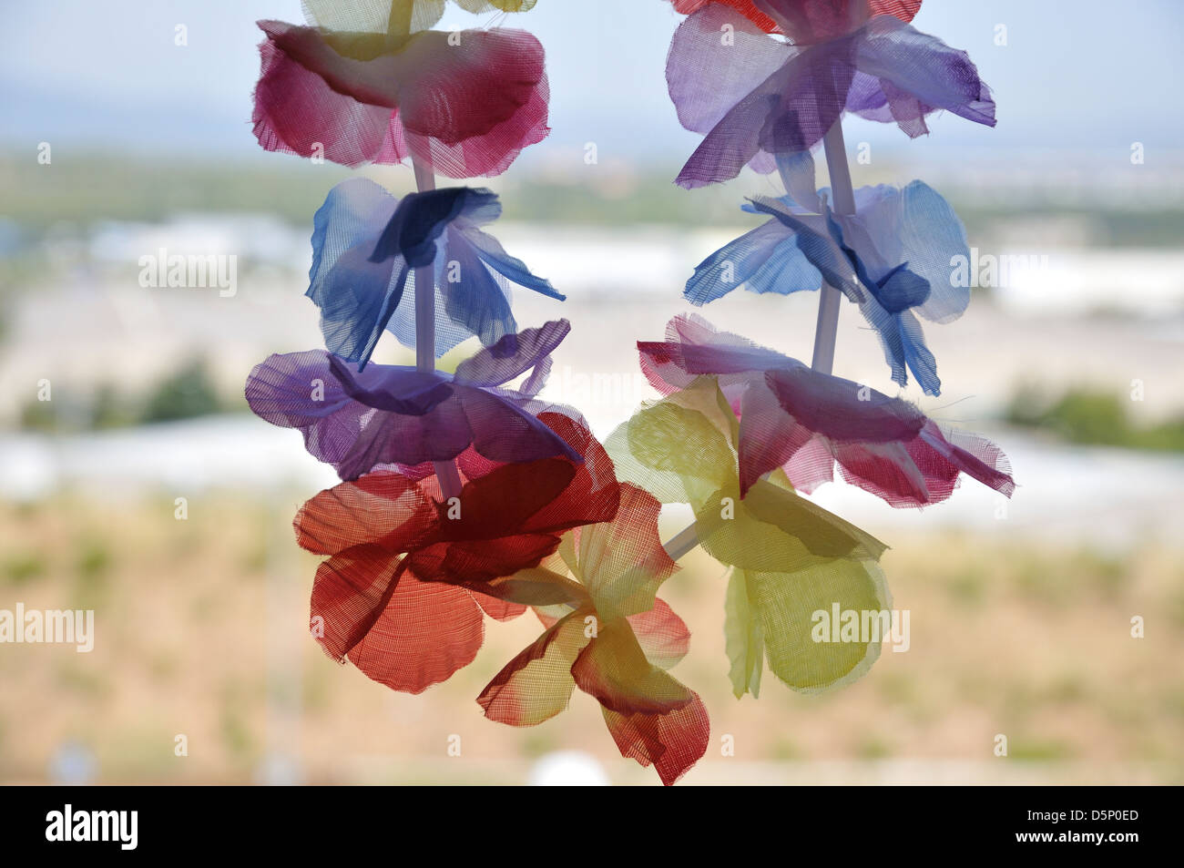 Dangling flowers hi-res stock photography and images - Alamy