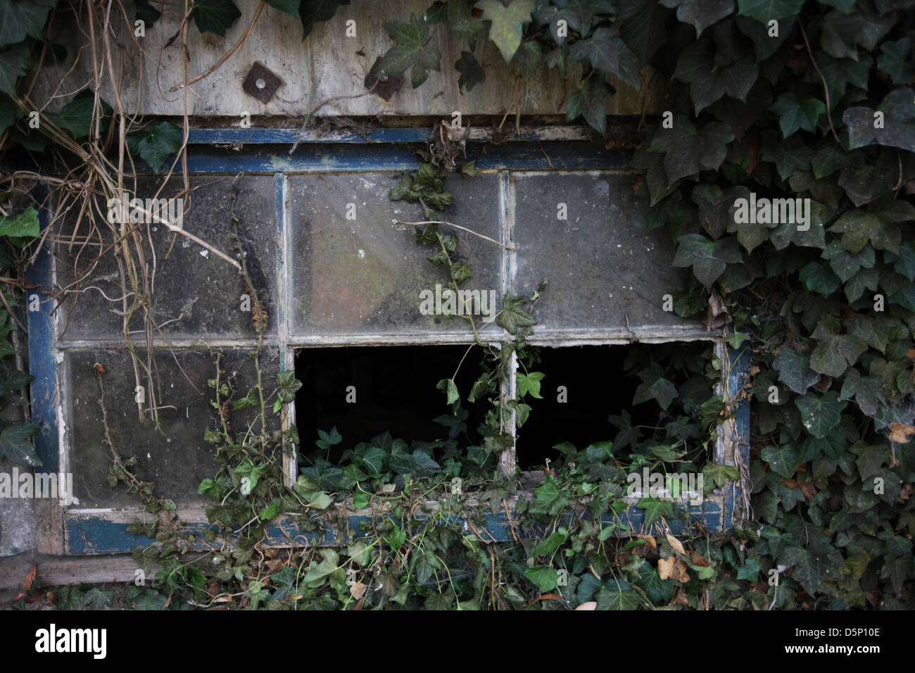Old shed window in the cider yard Stock Photo - Alamy