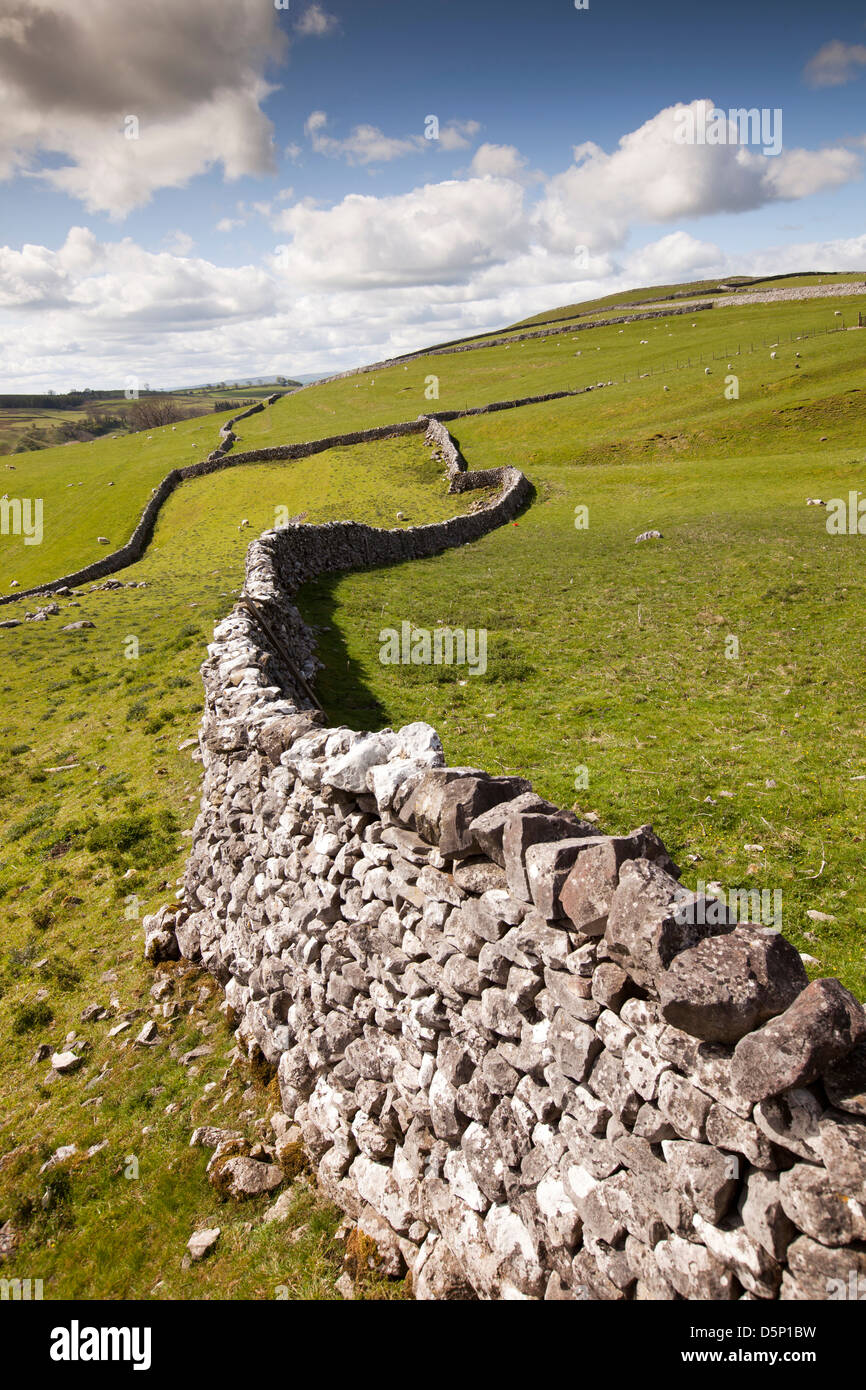 Malhamdale dry stone walls hi-res stock photography and images - Alamy