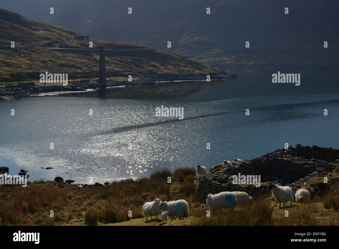 The old whaling station on the Isle of Harris in the Outer Hebrides of ...