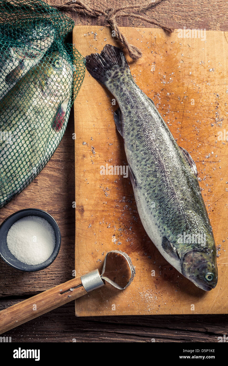 Fresh freshly caught seafood catch catching fish hi-res stock ...