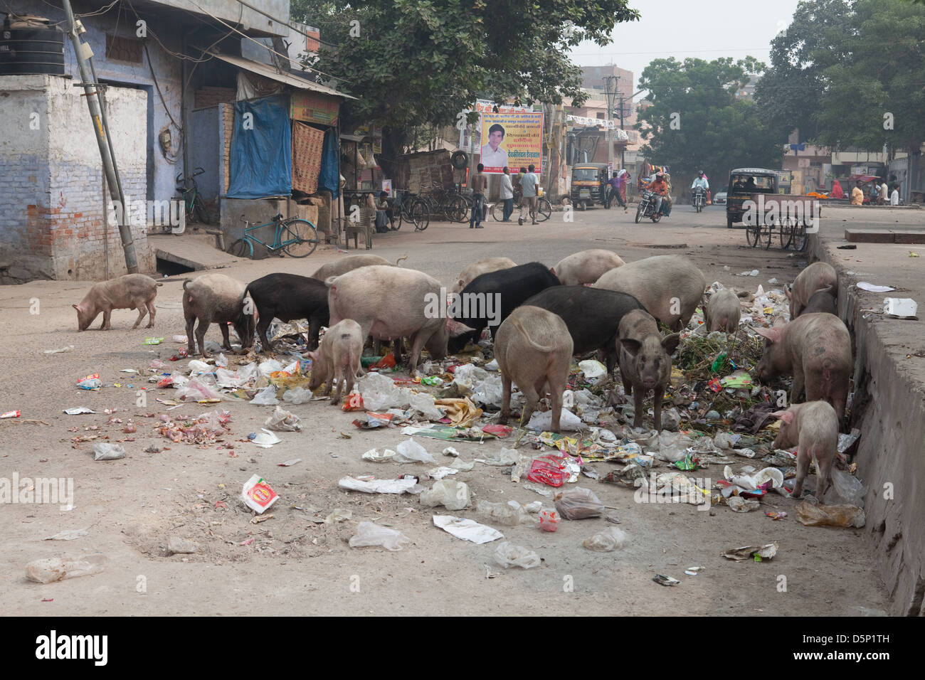 Dirty street delhi hi-res stock photography and images - Alamy