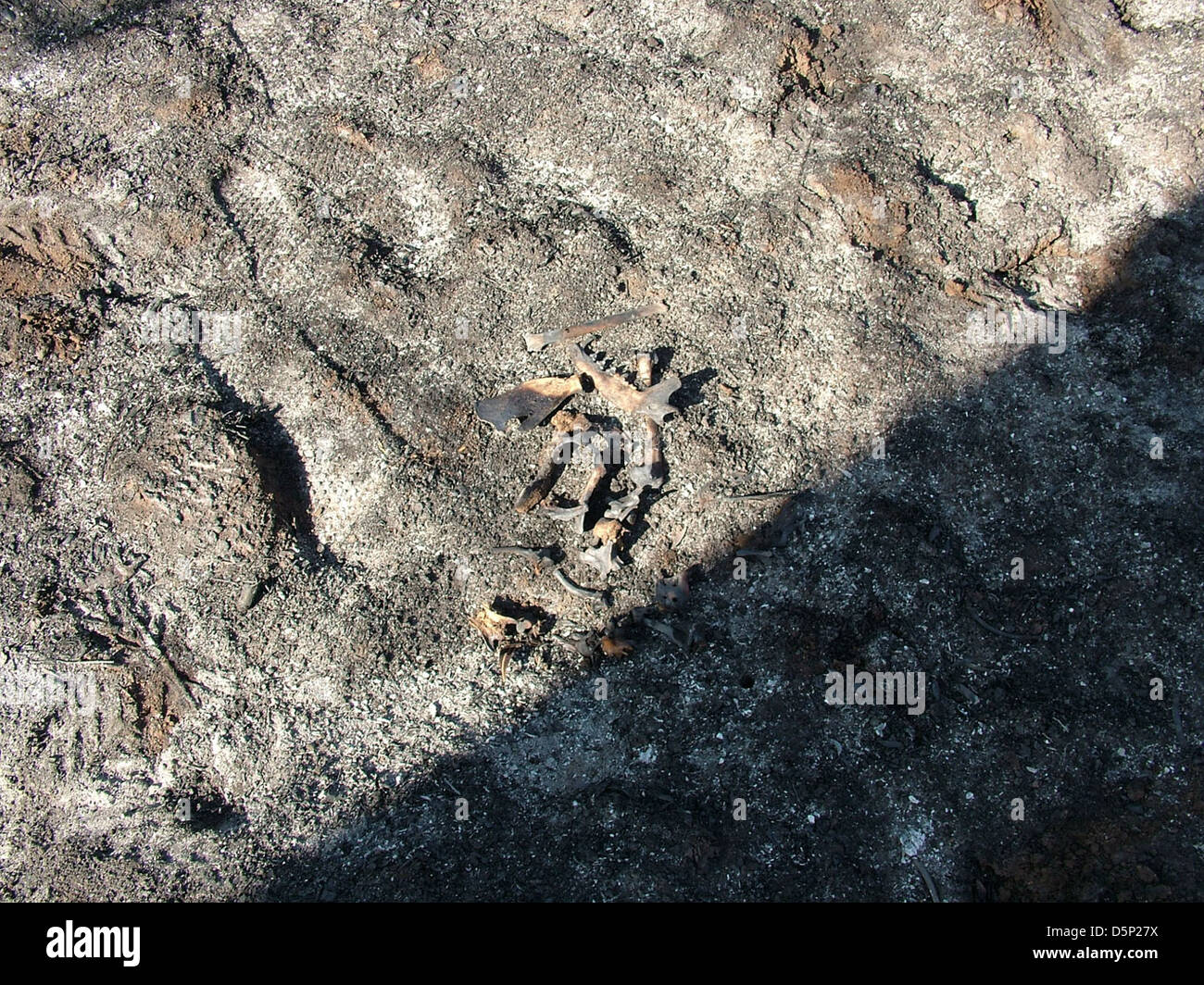 This image shows a canoe on the water, accompanied by a focus on water ...